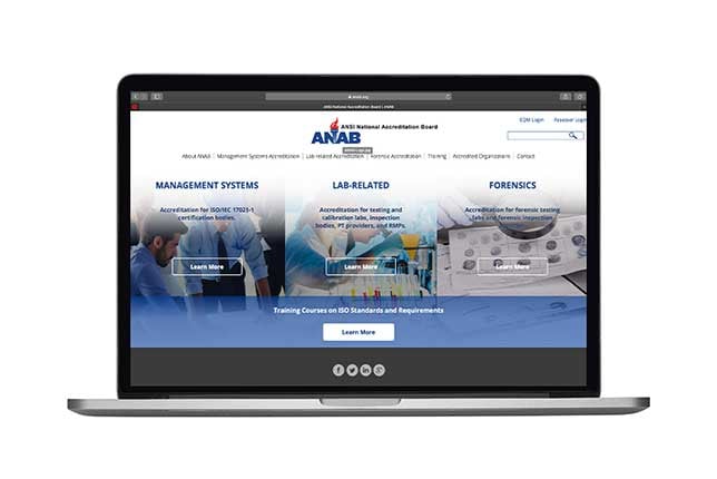 Case Studies | TSL Marketing | Client Success Stories